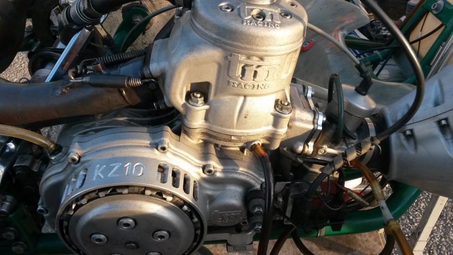 TM Racing Karting 125 cm3, 2010 god.