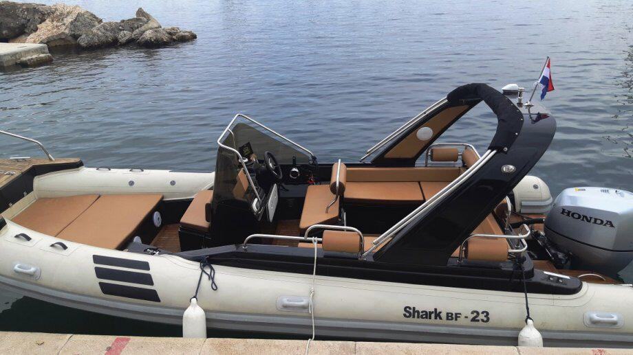 Shark 23