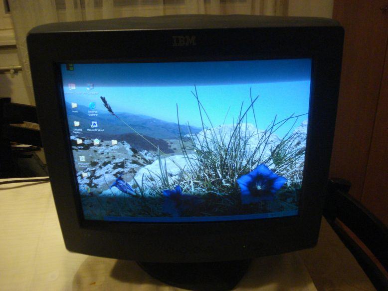 IBM 17 monitor