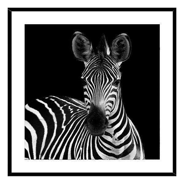 Slika Kristal (2 x 50 x 50 cm) Zebra - NOVO