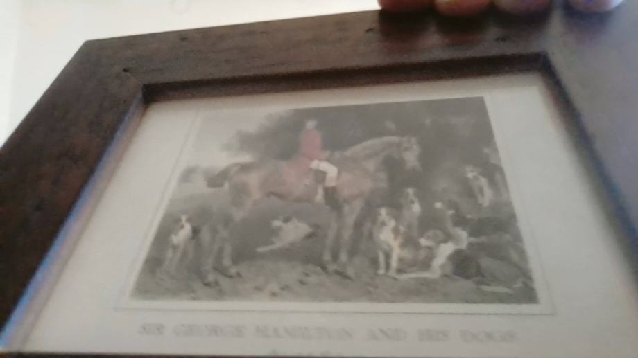 UOKVIRENA SLIČICA - SIR GEORGE HAMILTON AND HIS DOGS