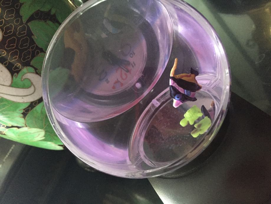 Ukrasni efektni akvarij sat