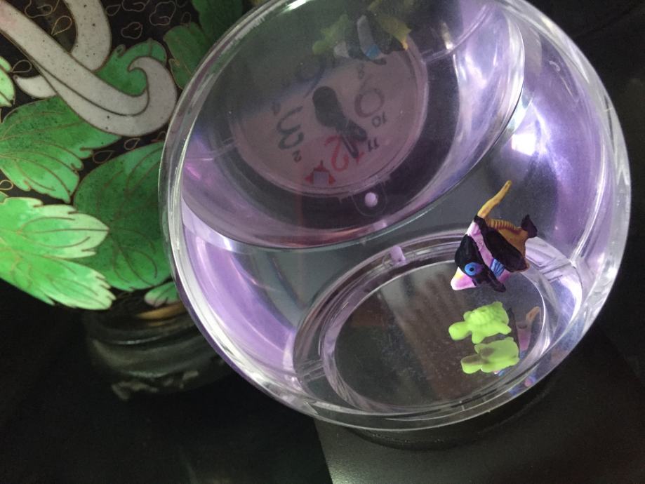 Ukrasni efektni akvarij sat