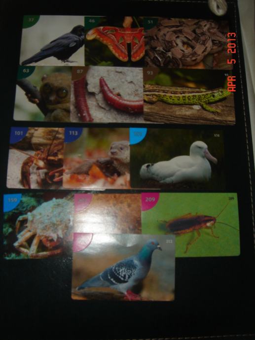 sličice životinjsko carstvo