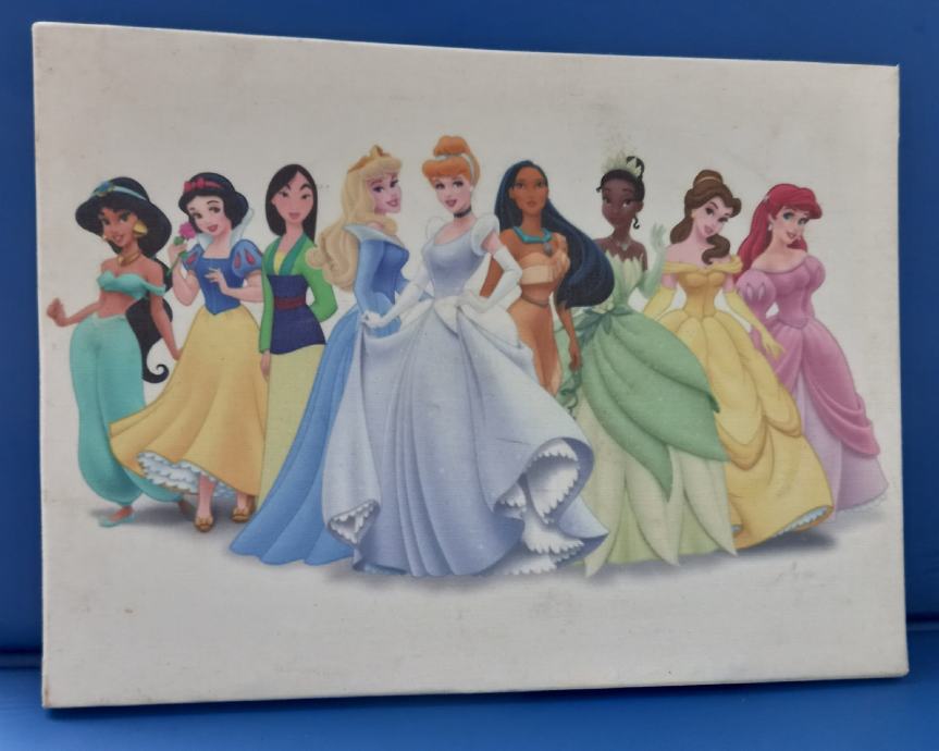 WALT DISNEY PRINCEZE