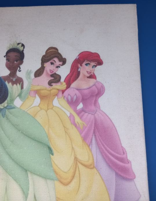 WALT DISNEY PRINCEZE