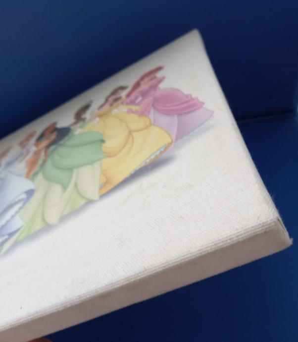 WALT DISNEY PRINCEZE