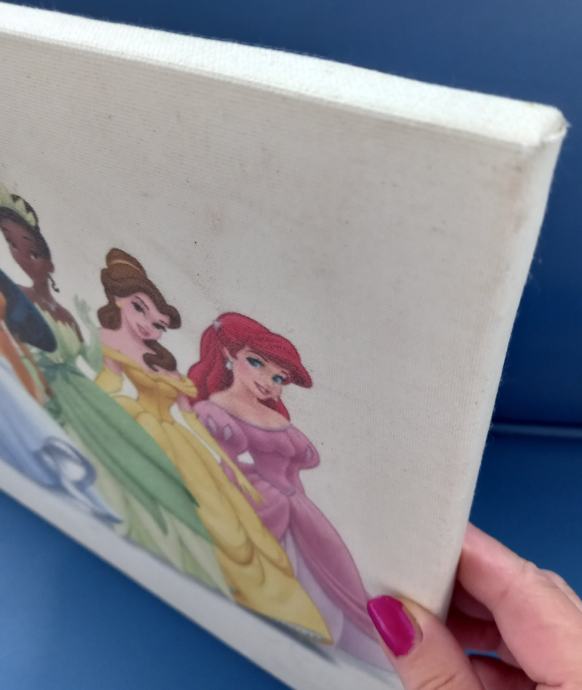 WALT DISNEY PRINCEZE