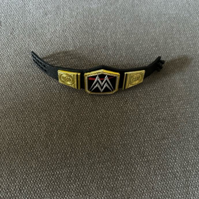 WWE kečeri i oprema