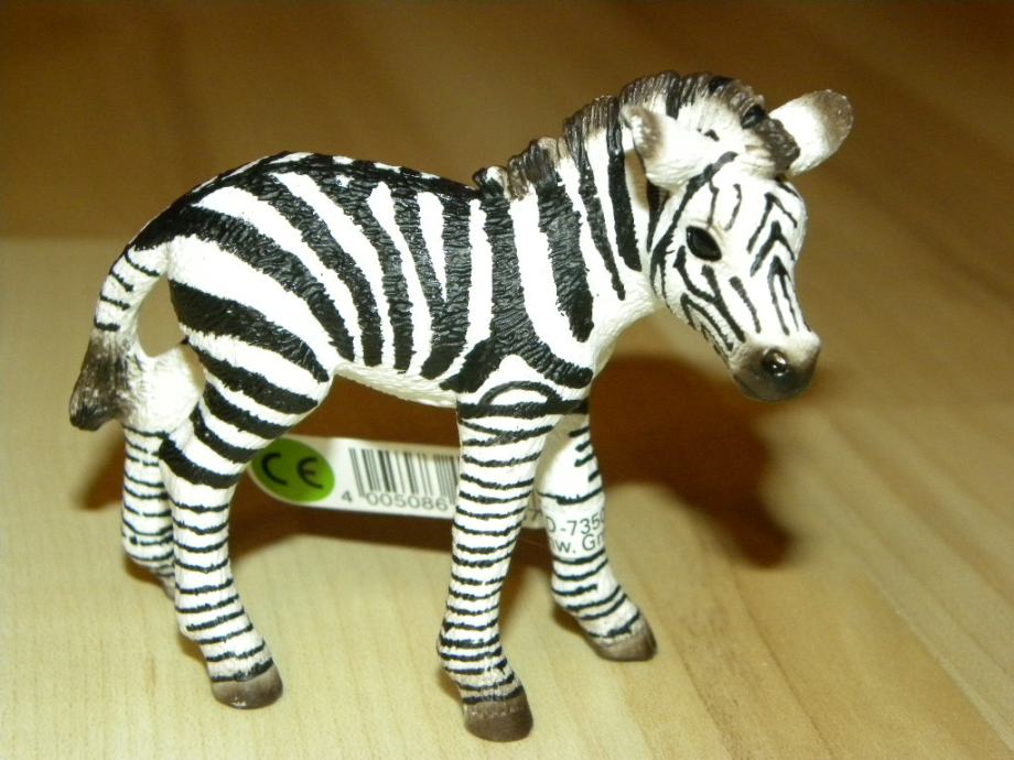 MLADA ZEBRA - NOVO-