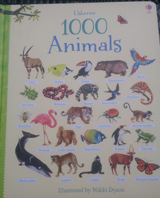 1000 Animals