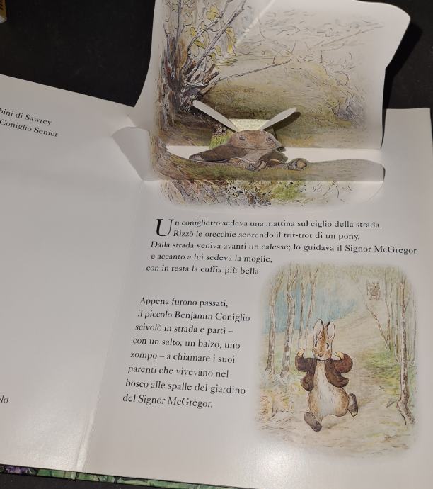 Beatrix Potter LA STORIA DI PETER CONIGLIO E BENJAMIN CONIGLIO Libro