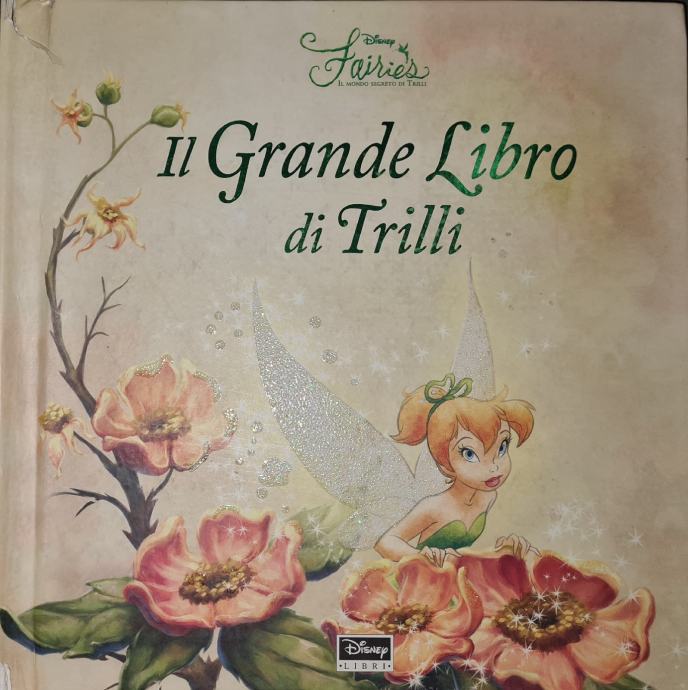 Il grande libro di Trilli. Fairies. Il mondo segreto di Trilli. Libro