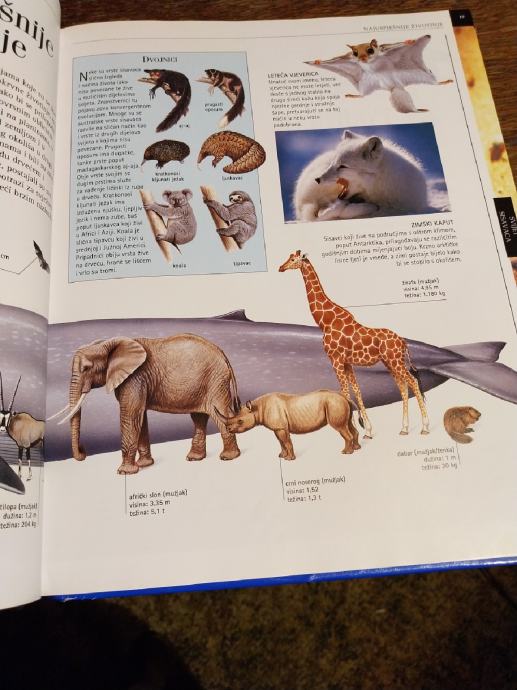 velika enciklopedija životinje za djecu, dva dijela