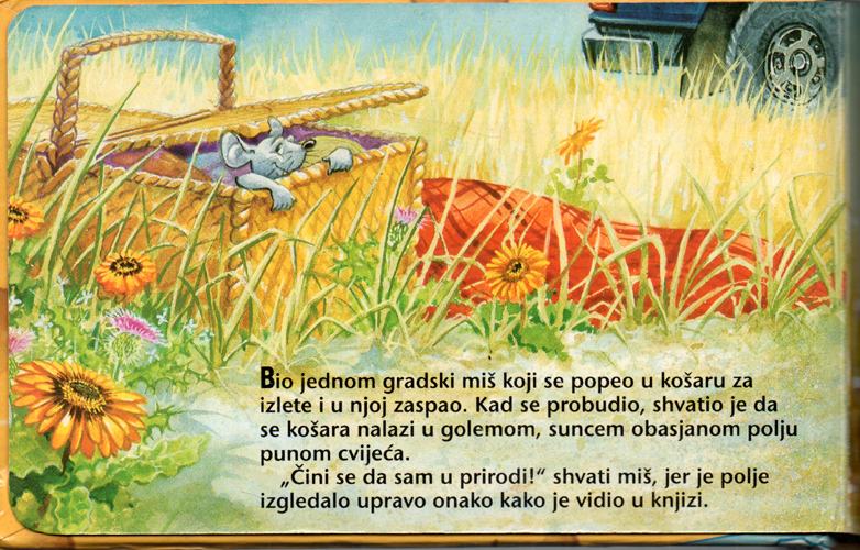 Turgeon, Stephane | Bryant, Robyn - Gradski miš i poljski miš