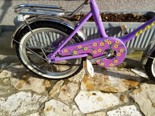 Bacini