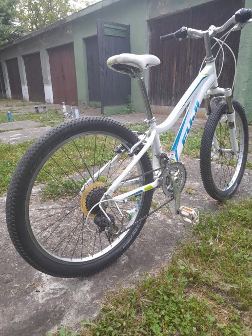 Fuji Dynamite Comp 24