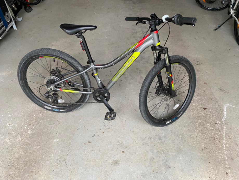 Polygon Relic 24 DISC 2019