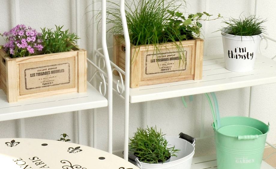 Lavanda polica bijela
