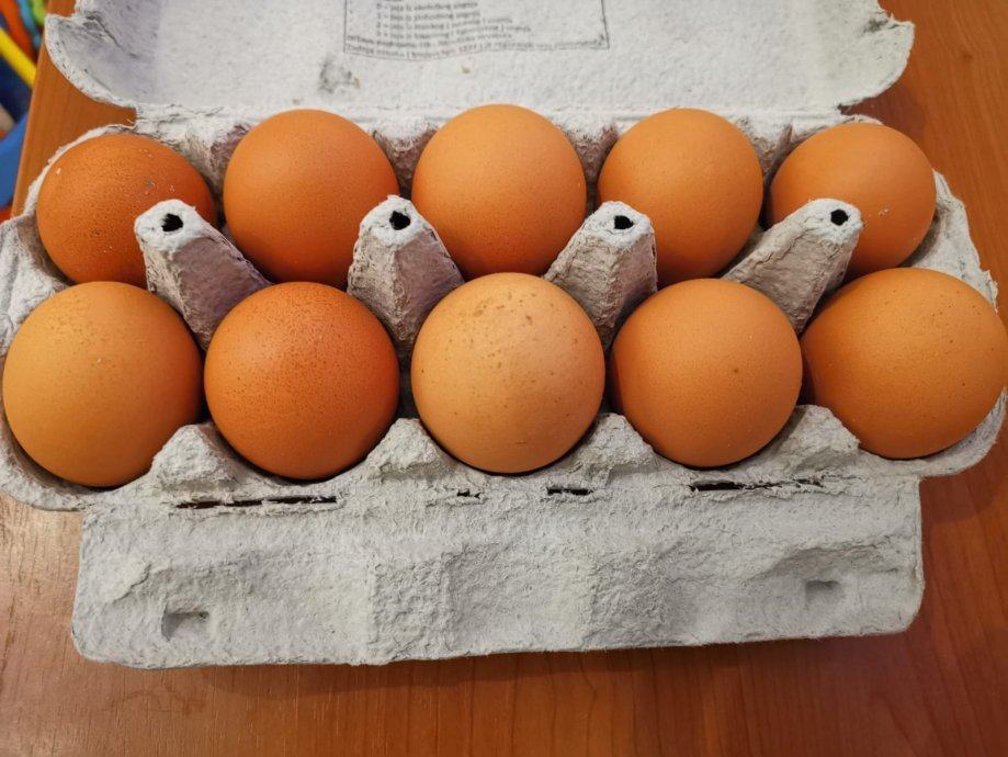 Domaća Jaja slobodni uzgoj s Grobnika - Trnovica 0.35€-jaje