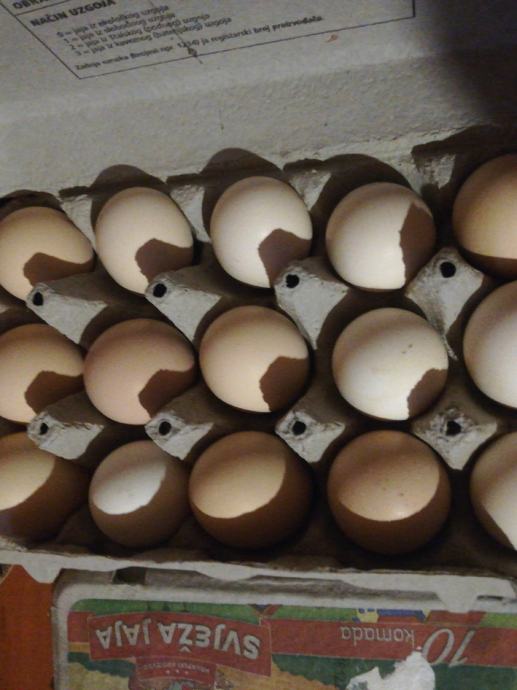 domače jaja