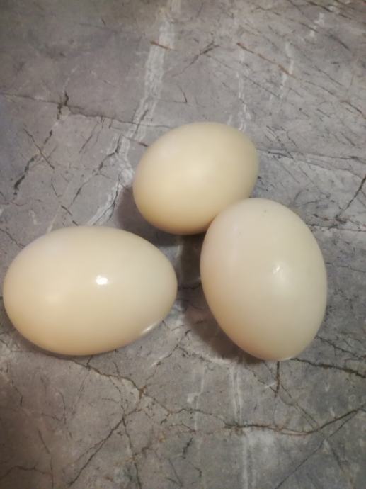 Jaja - Pačija jaja - Uskršnja