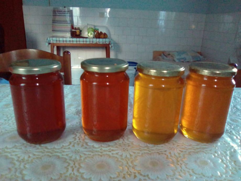 Domaći med livada-heljda, kesten, cvijetni-livada, bagrem