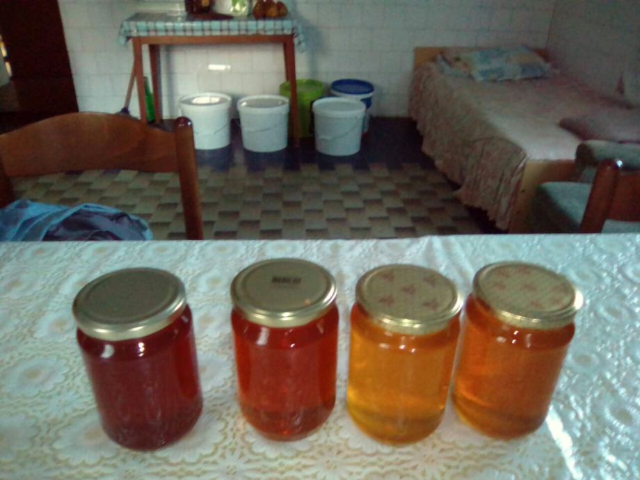 Domaći med livada-heljda, kesten, cvijetni-livada, bagrem