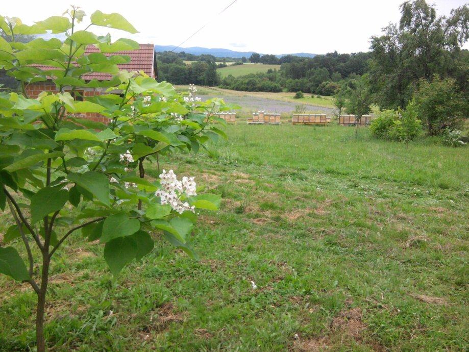 RV Rodna Voja kosnice sa pcelama