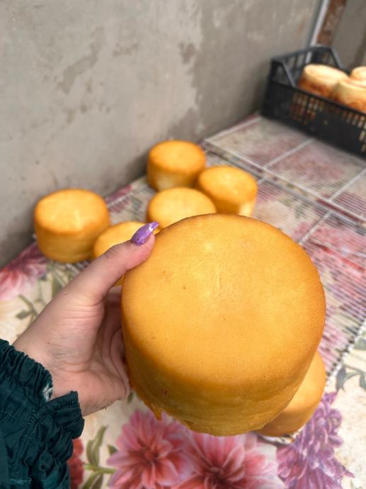 Domaći kuhani kravlji sir