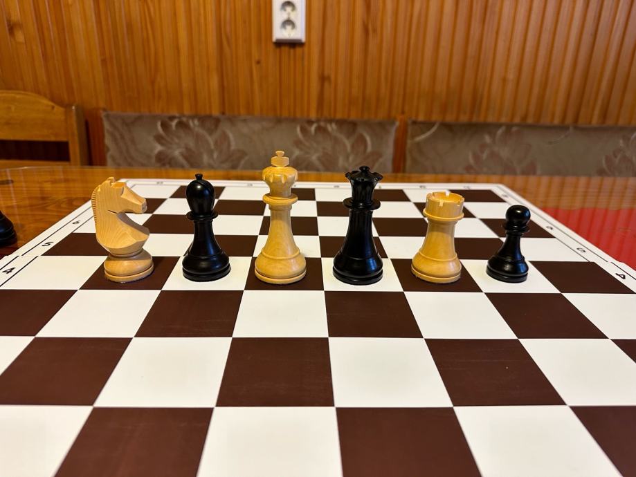 World Chess / FIDE šahovski set