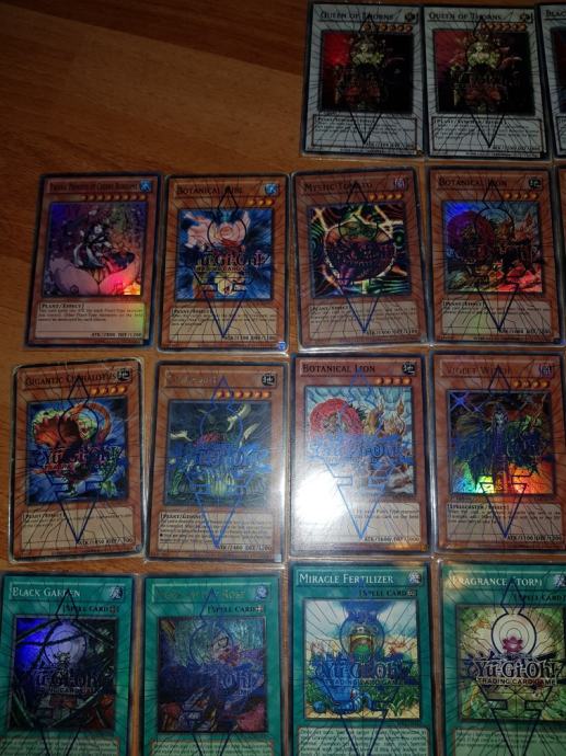Yu-gi-oh Rose Deck