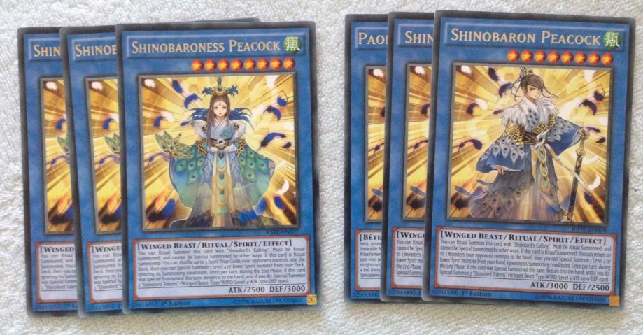 Yugioh TCG: Shinobird deck core