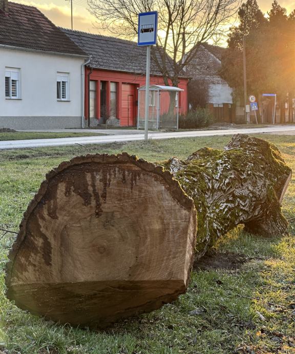 Deblo oraha , Orah trupac