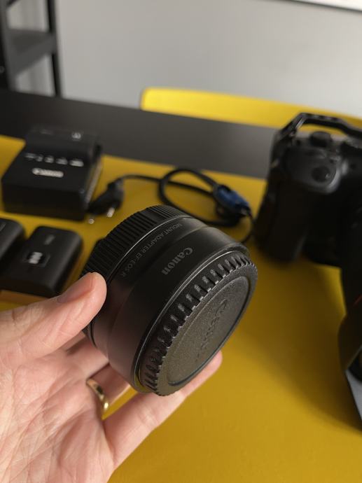 Canon EOS R6 Mark II + RF 24-105mm f/4 L USM + Canon EF-EOSR Adapter