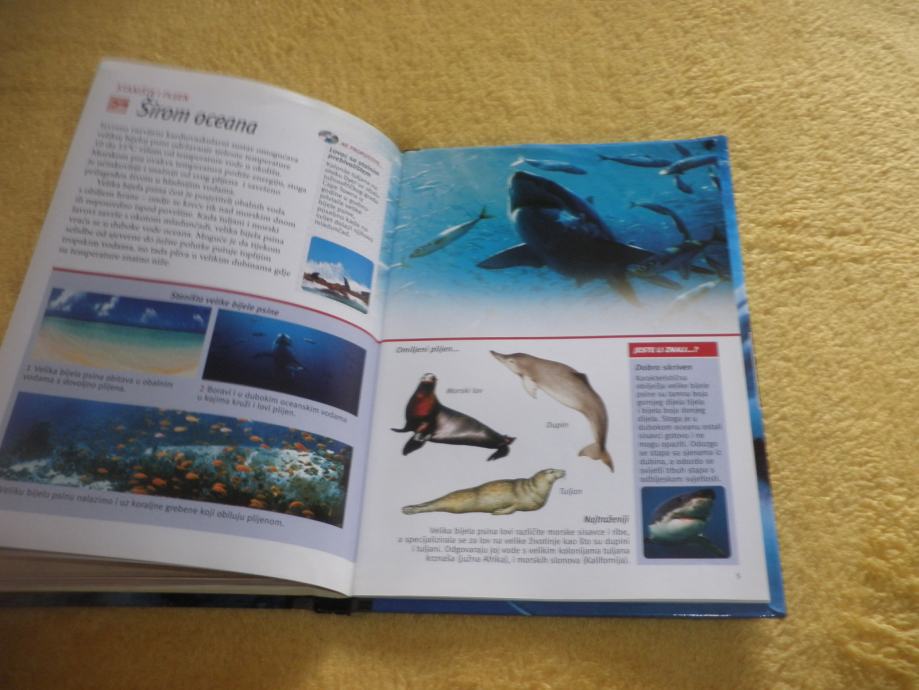 PODMORSKA MISIJA - MORSKI PSI DVD