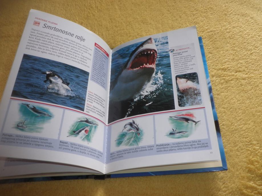 PODMORSKA MISIJA - MORSKI PSI DVD