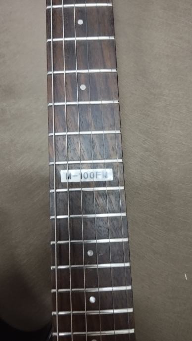 ESP Ltd M100 FM