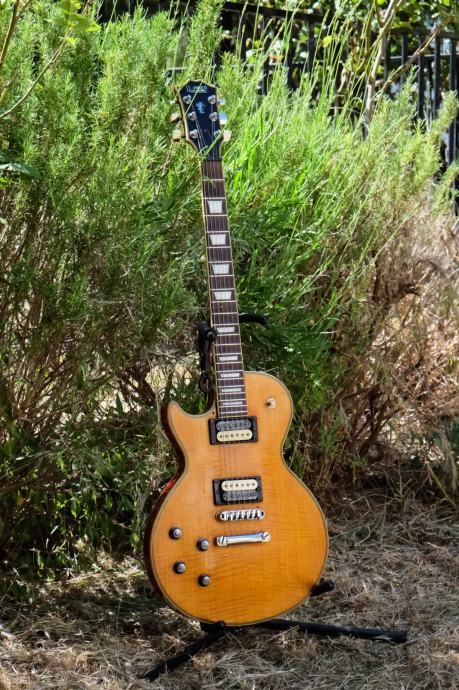 Hohner profesional L59