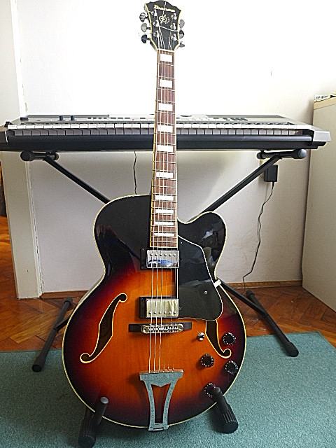 Ibanez Artcore AF 75 BS