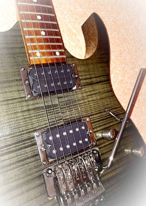 Ibanez RG 320 FM/Dimarzio