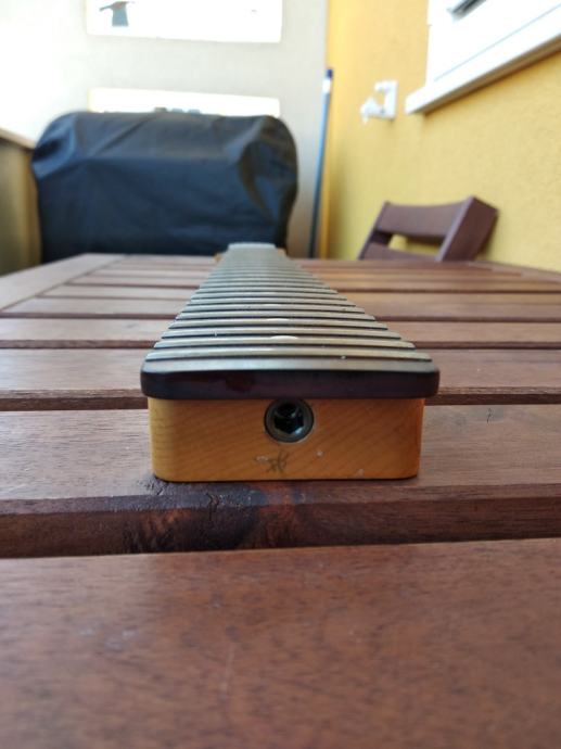 Warmoth telecaster vrat