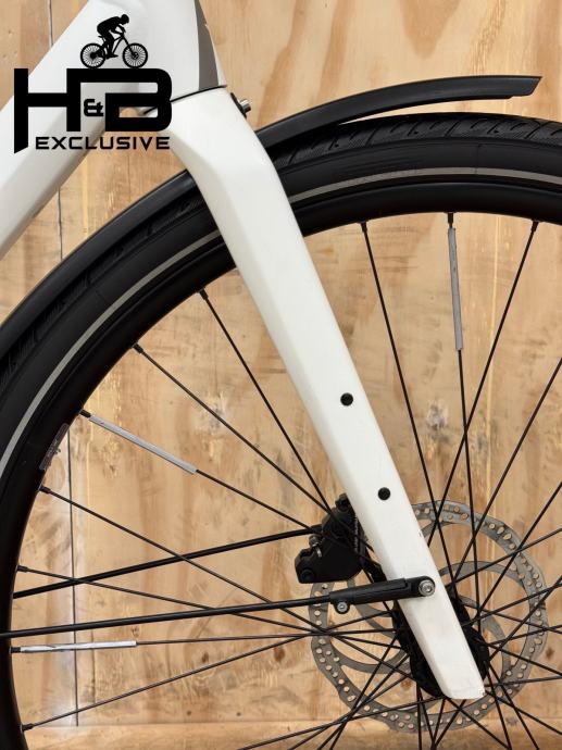 Rose Sneak Plus EQ električni bicikl Mahle 2023
