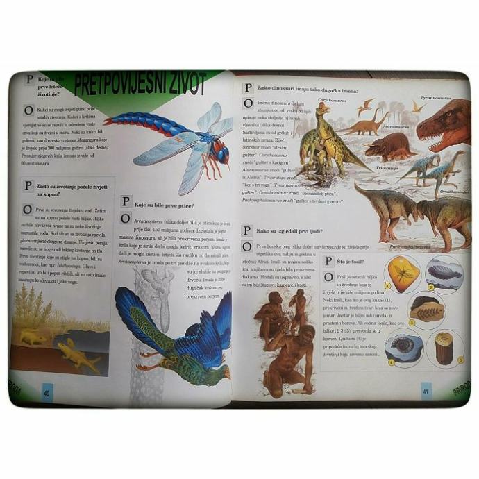 Dječja enciklopedija: Pitanja i odgovori