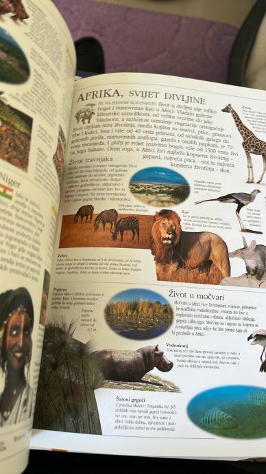 Knjiga Ilustrirana obiteljska enciklopedija