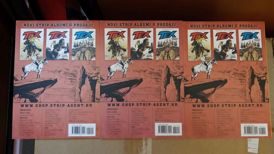 Tex Willer extra Van Gogh