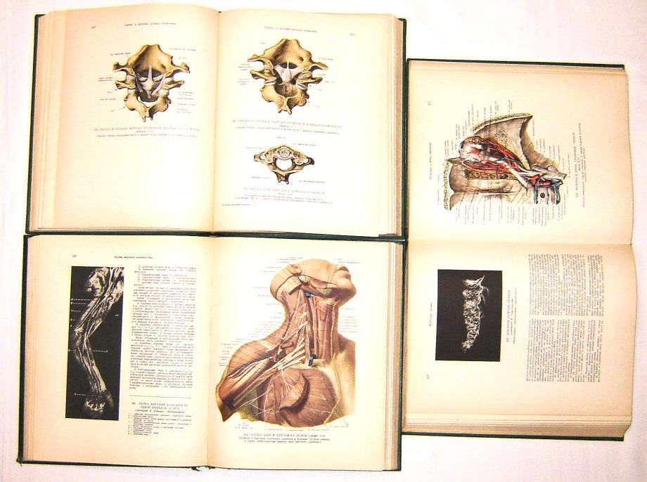 Sineljnikov Sinelnikov Anatomski atlas anatomija čovjeka Atlas anatomi