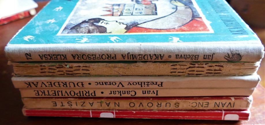 Boško Matić & Dušan Perković: Boško Buha, scenario za film i tv seriju