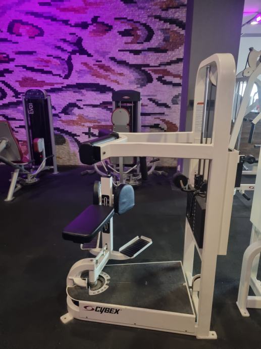 Cybex torso rotation