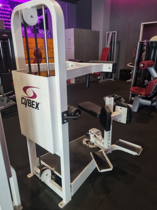 Cybex torso rotation